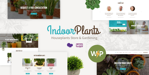 Indoor Plants | Houseplants Store & Florist WordPress Theme by AncoraThemes